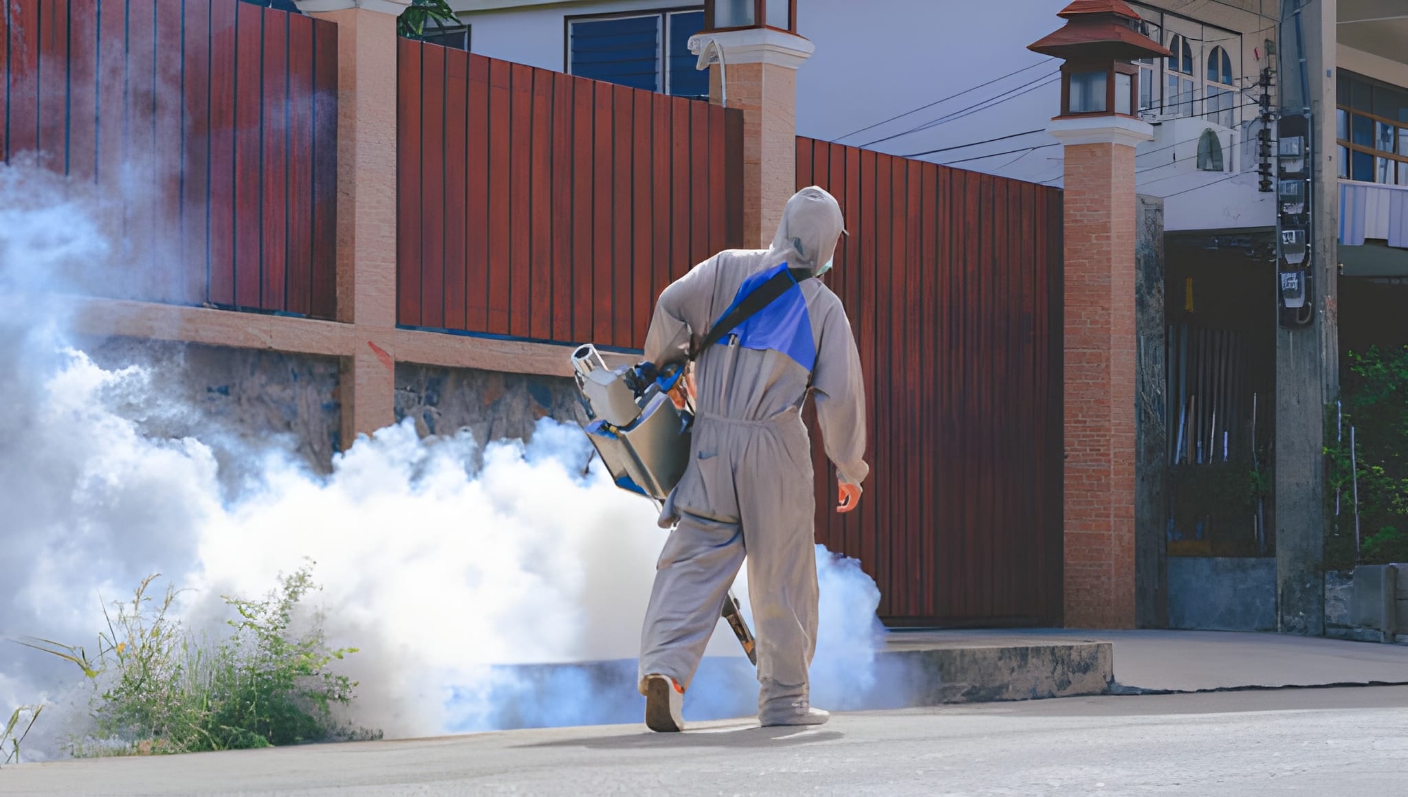 Martin County Mosquito Control | Ben’s Pest Control Solutions